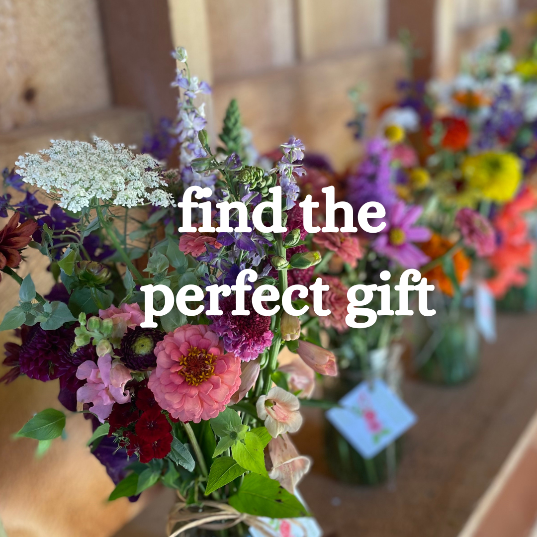 Northampton Florist