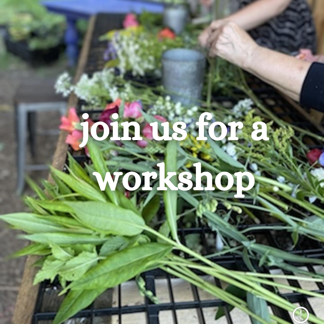 Northampton Florist