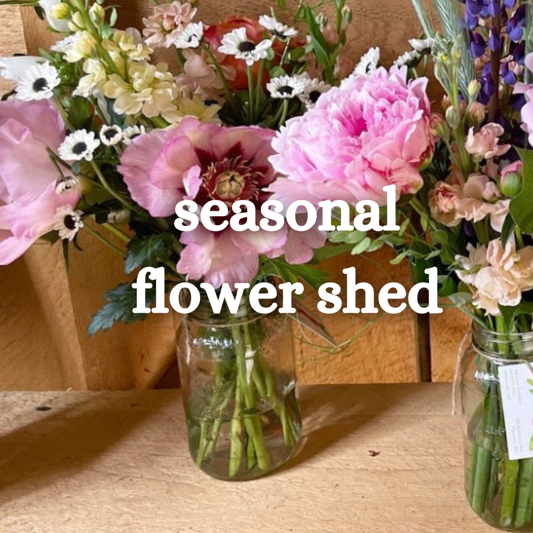 Northampton Florist
