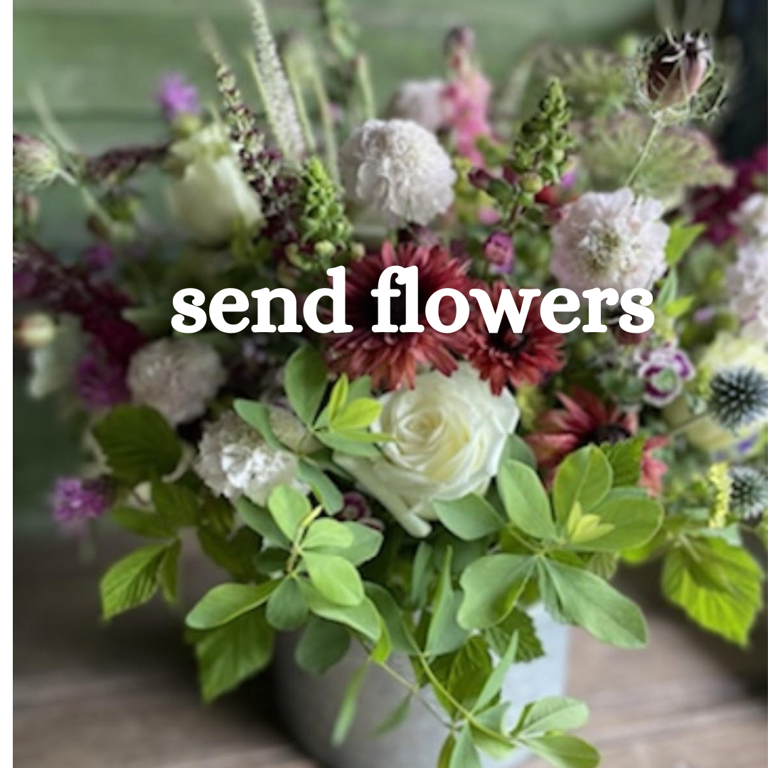 Northampton Florist