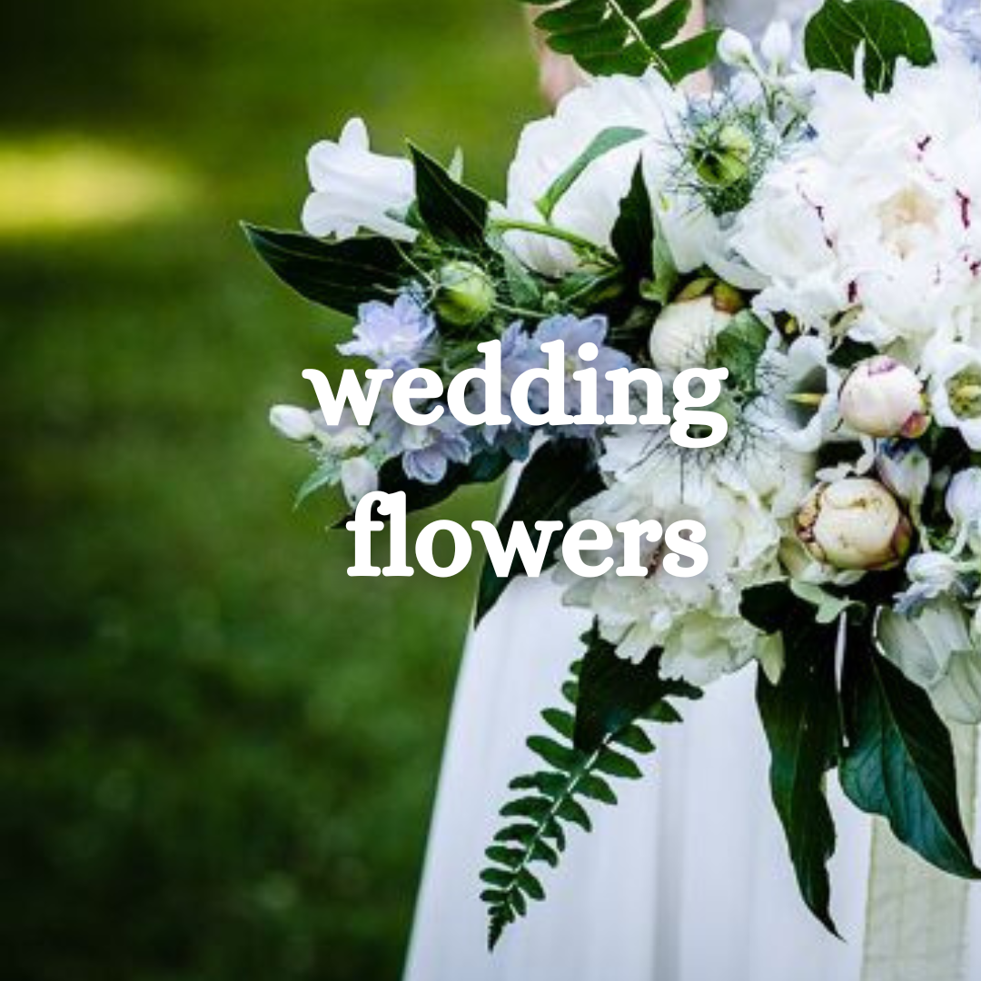 Northampton Florist